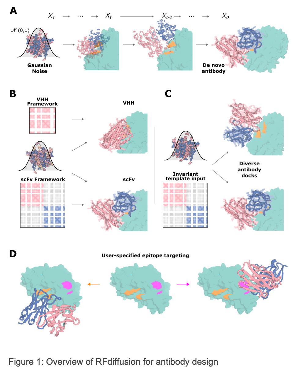 重磅，David Baker团队又一突破：首次利用生成式AI设计出全新抗体